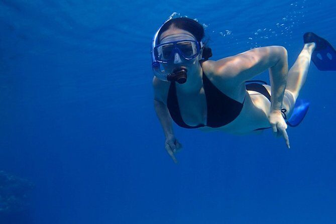 Jungle Adventure Tour! Speed boat and Snorkeling (Single) - Key Points