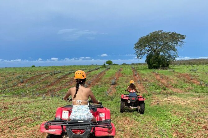 Jungle and beach ATV tour + lunch + tequila tasting - The Sum Up: Is This Tour for You?