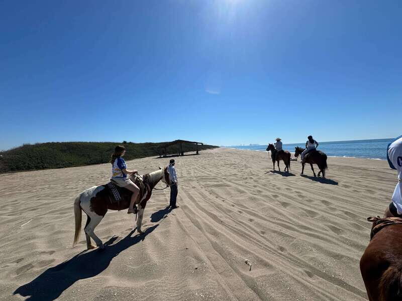 Jungle and beach horseback ride + lunch + mezcal - Jungle and Beach Horseback Ride + Lunch + Mezcal: An Authentic Sinaloa Adventure