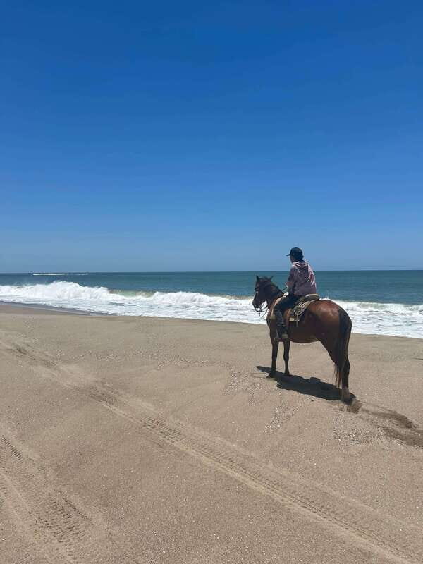 Jungle and beach horseback ride + lunch + mezcal - Who Will Love This Tour?