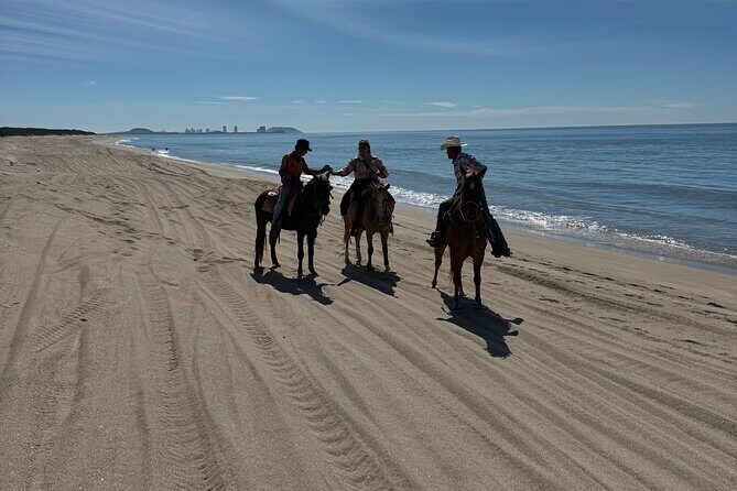 Jungle and Beach Horseback ride Tour in Pacific Coast - An In-Depth Look at the Tour Experience
