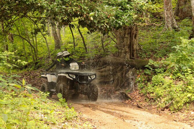 Jungle ATV Tour "La Tigra" double (2 persons ride tandem on ATV) - What to Expect from the Jungle ATV Tour "La Tigra"
