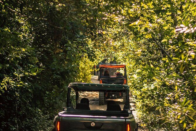 Jungle Buggy Day Tour - FAQ