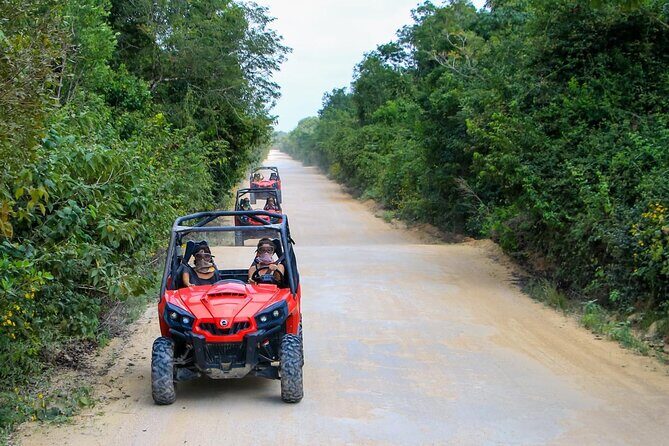 Jungle Buggy Tour from Playa del Carmen Including Cenote Swim - Key Points
