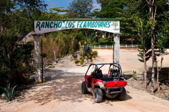 Jungle Buggy Tour from Playa del Carmen Including Cenote Swim - Authentic Experiences from Reviews