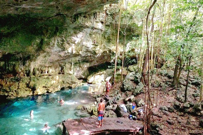 Jungle Buggy Tour from Playa del Carmen Including Cenote Swim - The Sum Up