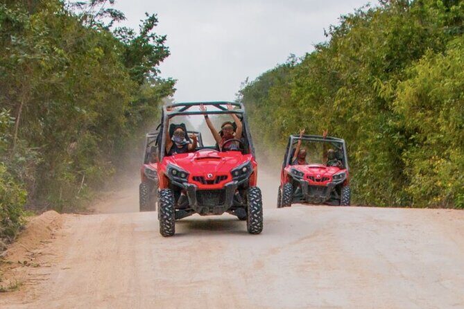 Jungle Buggy Tour from Playa del Carmen Including Cenote Swim - FAQ