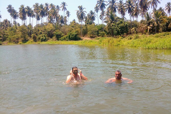 Jungle Coyuca Lagoon Boat Ride Experience & Baby Turtle Release - FAQ: Your Questions Answered