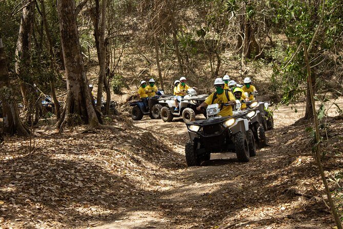 Jungle double ATV Tour "El Mirador" (ride tandem on ATV) - Exploring the Jungle Double ATV Tour "El Mirador" — A Review of Adventure and Authenticity