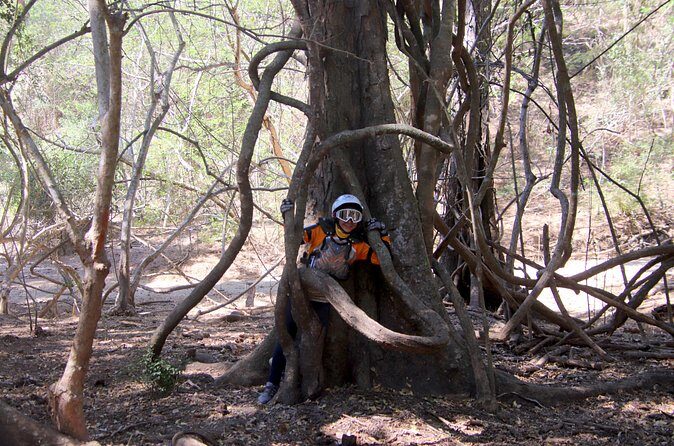 Jungle Hike Tour - Frequently Asked Questions