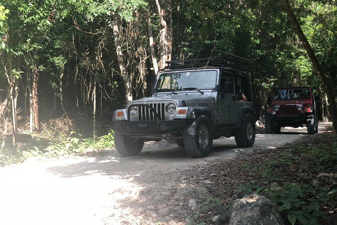 Jungle Jeep Adventure to Mayan Caves, Cenote and Snorkel - Who is this tour best suited for?