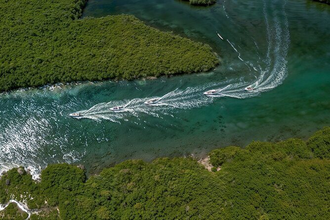 Jungle Tour - What Travelers Love and What to Consider