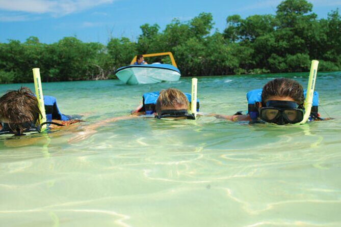 Jungle Tour Adventure in Cancun with Snorkeling - Who Should Consider This Tour?