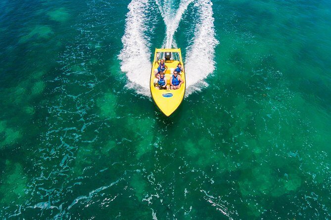 Jungle Tour with Snorkel in Cancun - What Is the Jungle Tour with Snorkel in Cancun?