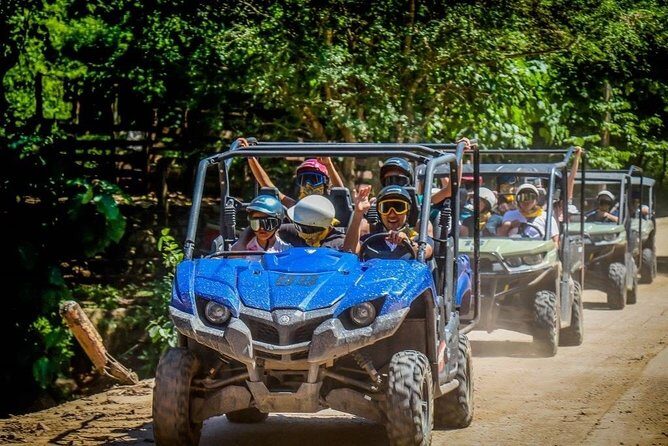 Jungle Viking/RZR Tour For 2 passangers in Eden & Coast Adventure - Key Points
