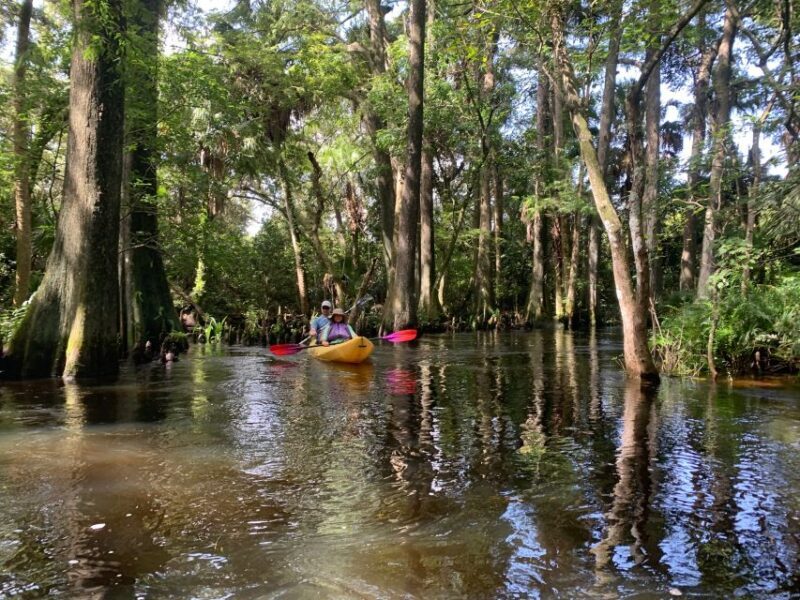 Jupiter: Wild and Scenic Loxahatchee River Kayak Tour - Practical Details & Value