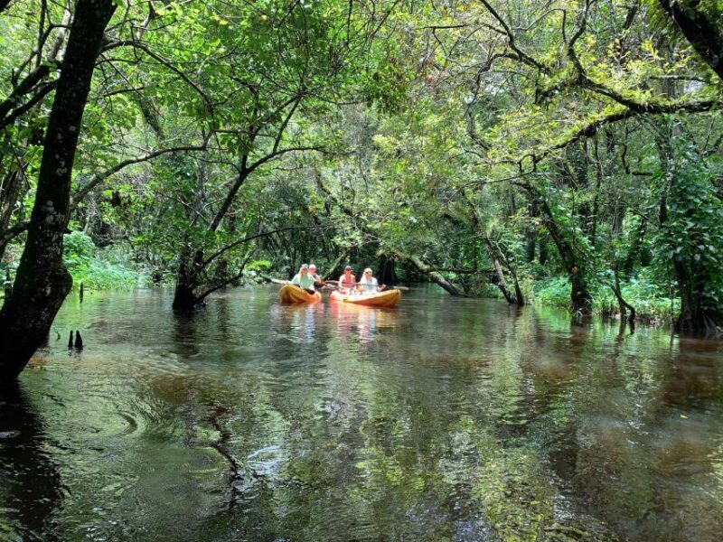 Jupiter: Wild and Scenic Loxahatchee River Kayak Tour - Final Thoughts