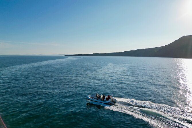 Jurassic Coast Rib Tour - Exmouth - What to Expect on the Tour