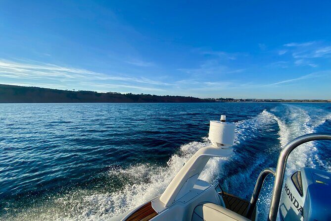 Jurassic Coast Rib Tour - Exmouth - The Sum Up