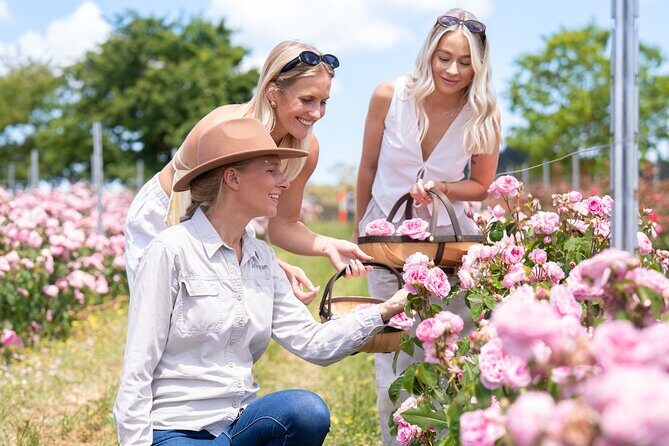 Jurlique Handpicked Masterclass - Key Points