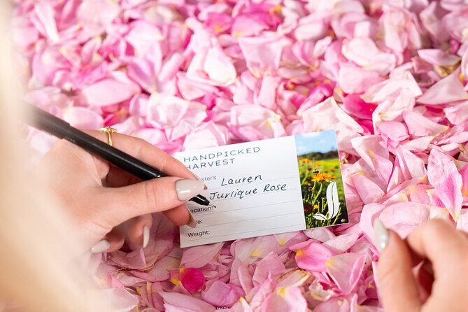 Jurlique Handpicked Masterclass - Final Thoughts: Who Should Book?