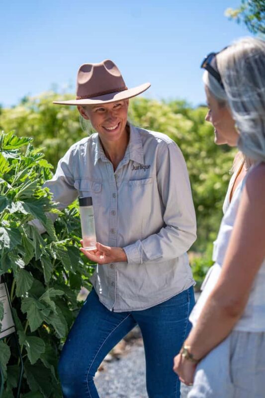 Jurlique Handpicked Masterclass - Introducing the Jurlique Handpicked Masterclass