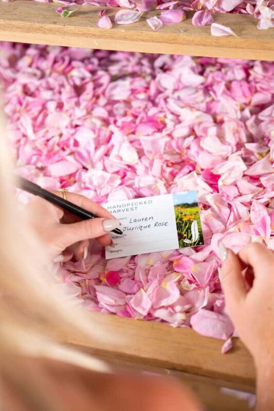 Jurlique Handpicked Masterclass - Key Points