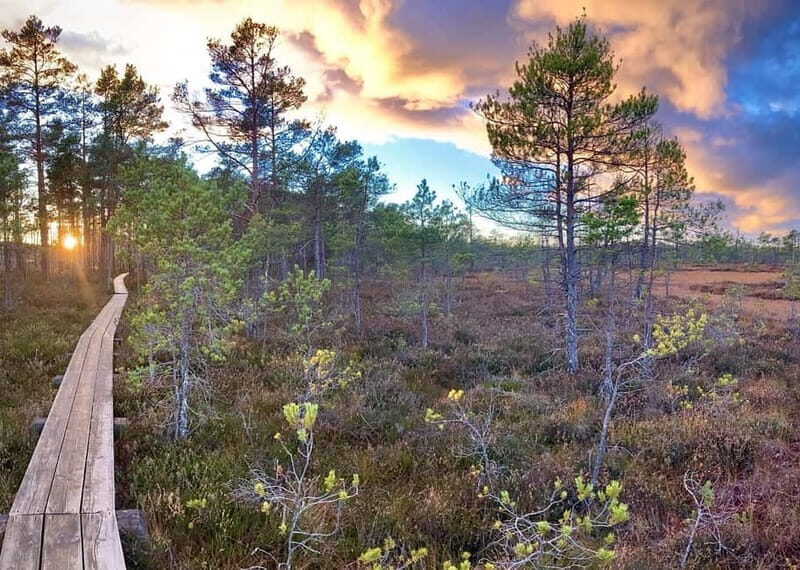 Jurmala,Kuldiga,Ragaciems Beach, Kemeri N park, Food & Drink - Why This Tour Works