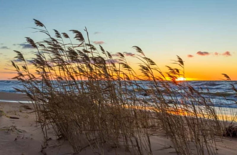 Jurmala,Kuldiga,Ragaciems Beach, Kemeri N park, Food & Drink - FAQs