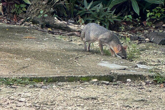 Kaan Luum Lagoon and Cenote Adventure - Exploring the Itinerary