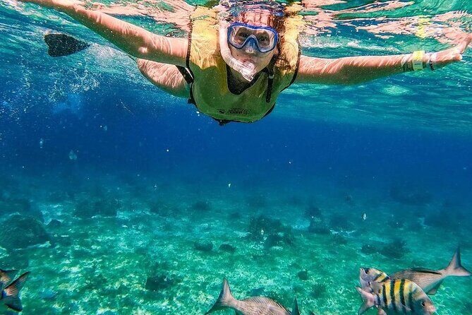 Kaan Luum Lagoon and Cenote Snorkel Tour in Tulum - An In-Depth Look at the Tour