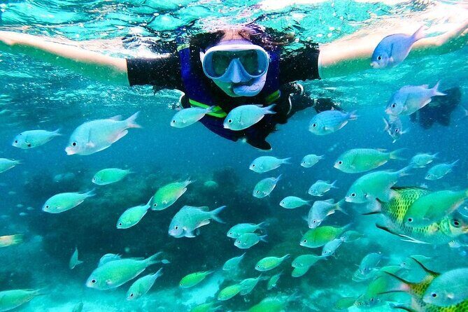 Kaan Luum Lagoon and Cenote Snorkel Tour in Tulum - FAQ