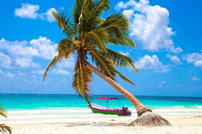 Kaan Luum Lagoon, Cenote Zacil Ha & Cenote Zemway Tour from Tulum - Pricing & Value