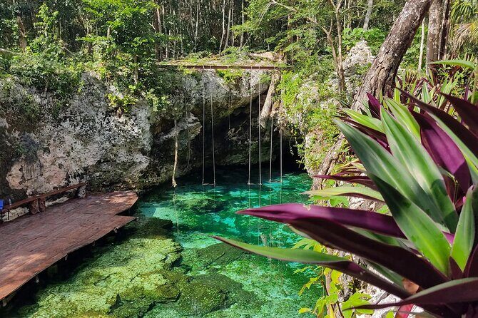 Kaan Luum Lagoon Day Trip with Cenotes and Mayan Traditions - Who Is This Tour Best For?