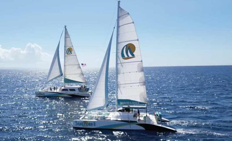 Ka'anapali Beach: Coral Reef Snorkel and Turtle Spotting - Key Points