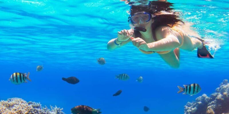 Ka'anapali Beach: Coral Reef Snorkel and Turtle Spotting - The Experience from the Guides