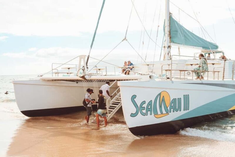 Ka'anapali Beach: Coral Reef Snorkel and Turtle Spotting - Pricing and Value