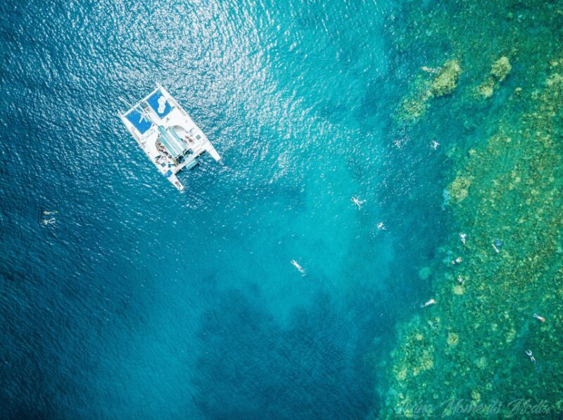 Ka'anapali Beach: Coral Reef Snorkel and Turtle Spotting - Who Should Book This Tour?