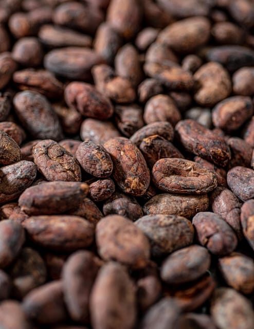 KAIACAO Bean to Bar and Design your own chocolate experience - An Immersive Look at KAIACAO