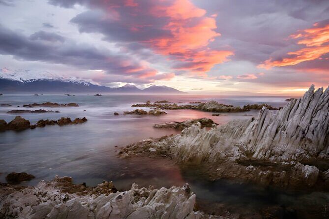 Kaikoura Day Tour From Christchurch - Who Is This Tour Best For?