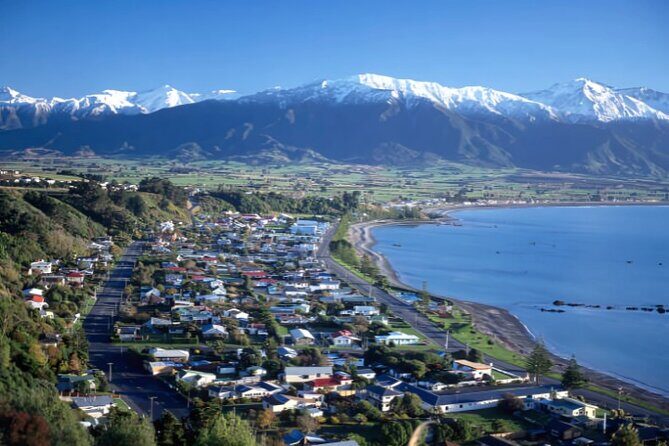 Kaikoura Day Tour From Christchurch - Frequently Asked Questions