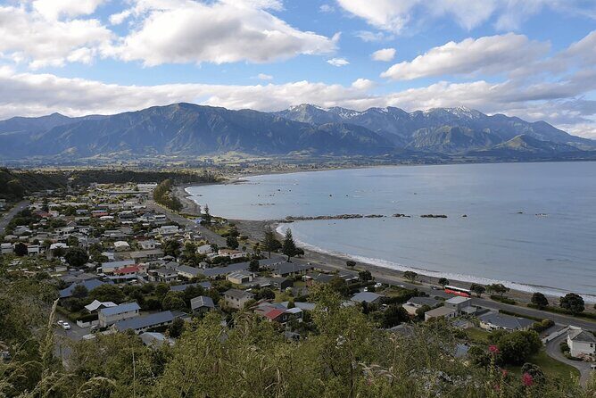 Kaikoura Day Trip including Whale Watch from Christchurch - Ohau Point Seal Colony (45 minutes)