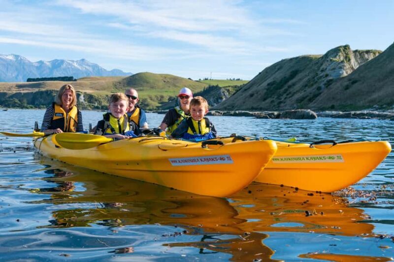 Kaikoura: Guided Family Kayaking Adventure - An In-Depth Look at the Kaikoura Kayaking Adventure