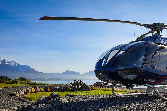 Kaikoura Helicopters Classic Whale Watch - What is the Kaikoura Helicopters Classic Whale Watch?