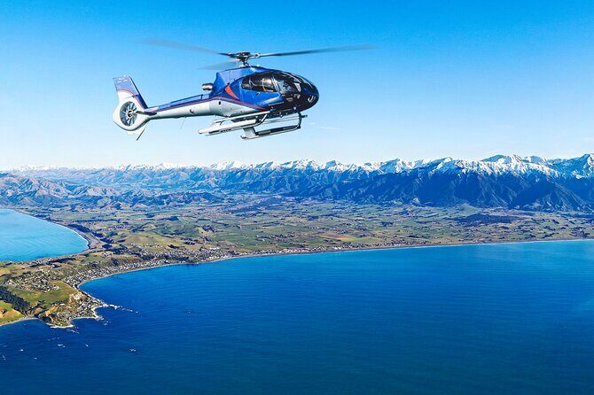 Kaikoura Helicopters Top n Tail Whale Watch flight - Authentic Insights from Reviewers