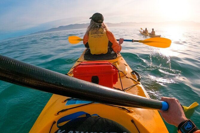 Kaikoura Kayaking Adventure Small Group Tour from Christchurch - A Closer Look at the Kaikoura Kayaking Tour