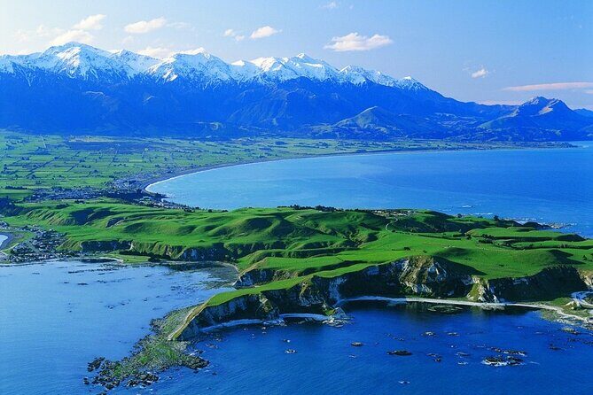 Kaikoura Kayaking Adventure Small Group Tour from Christchurch - Frequently Asked Questions