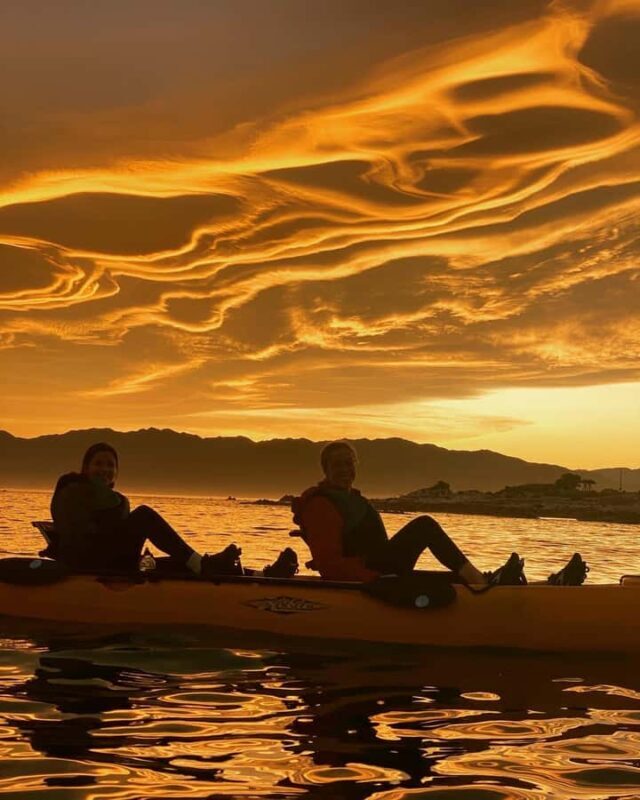 Kaikoura: Private Guided Kayak Tour with Seals - The Experience in Detail