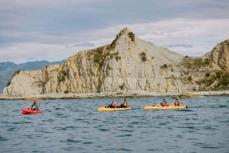 Kaikoura: Seal-Watching Pedal Kayak Tour - Pricing and Value for Money