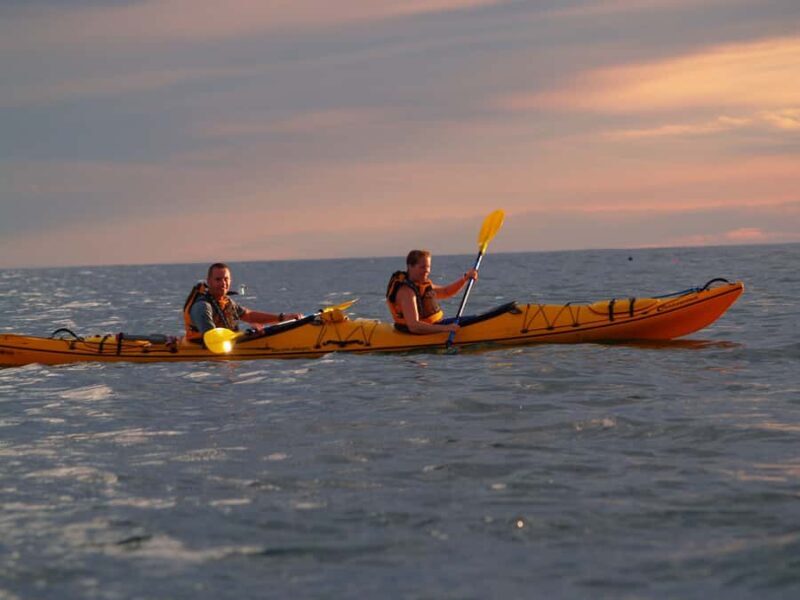 Kaikoura: Sunset Evening Kayaking Tour - The Wildlife and Scenery: Why It Matters